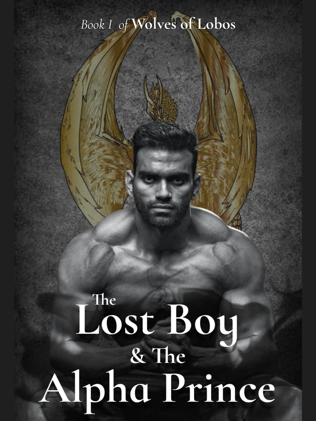Lost Boy & The Alpha Prince — by Sam Brooks — AlphaNovel